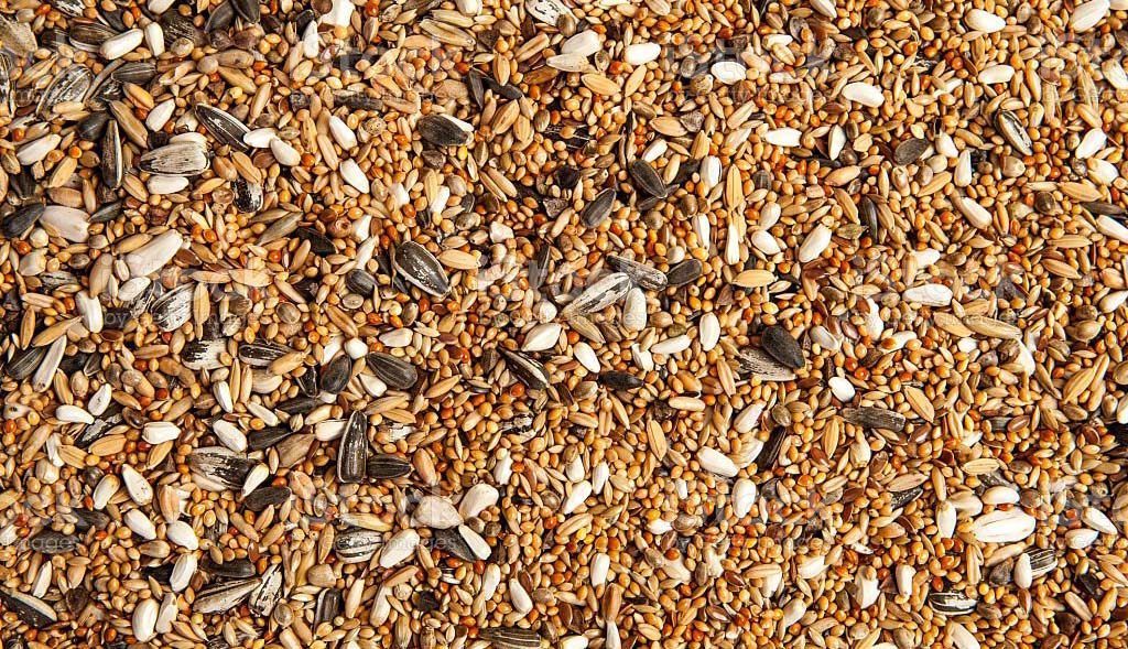 Bird Food – Birders Bird Supply & Gift Store
