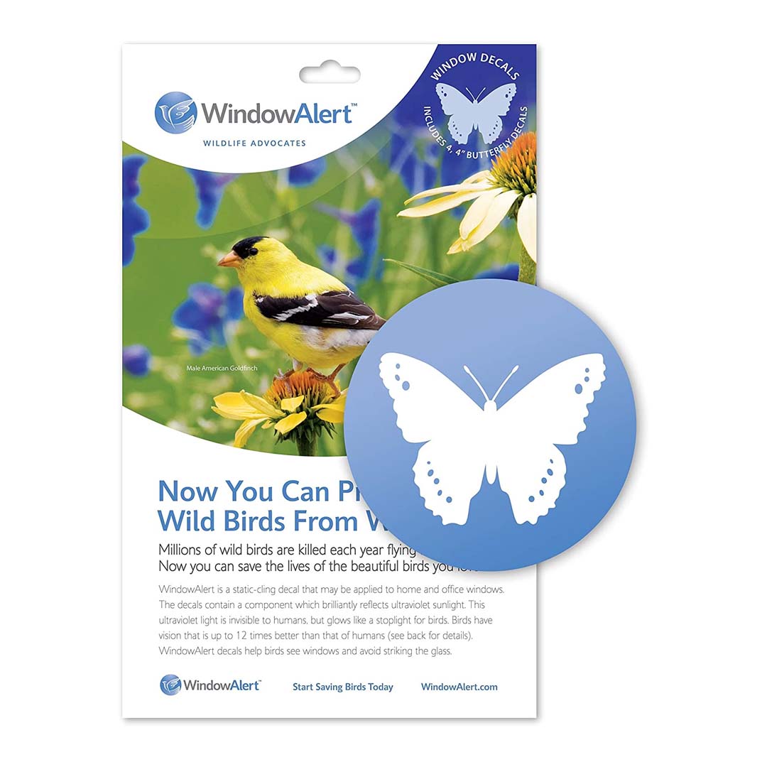Window Alert Anti-Collision Decal (Butterfly) – Birders Bird Supply ...