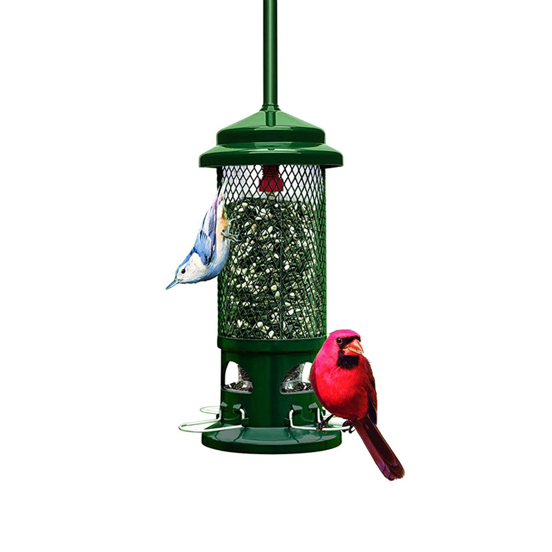 Squirrel Buster Standard – Birders Bird Supply & Gift Store